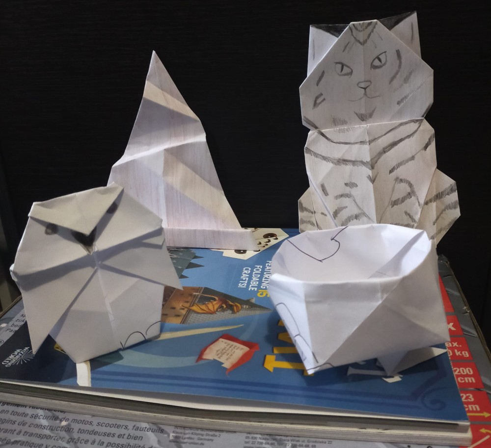 Debbie’s Lockdown diary – Wednesday 22nd April - Lets Dance! - Blog ...